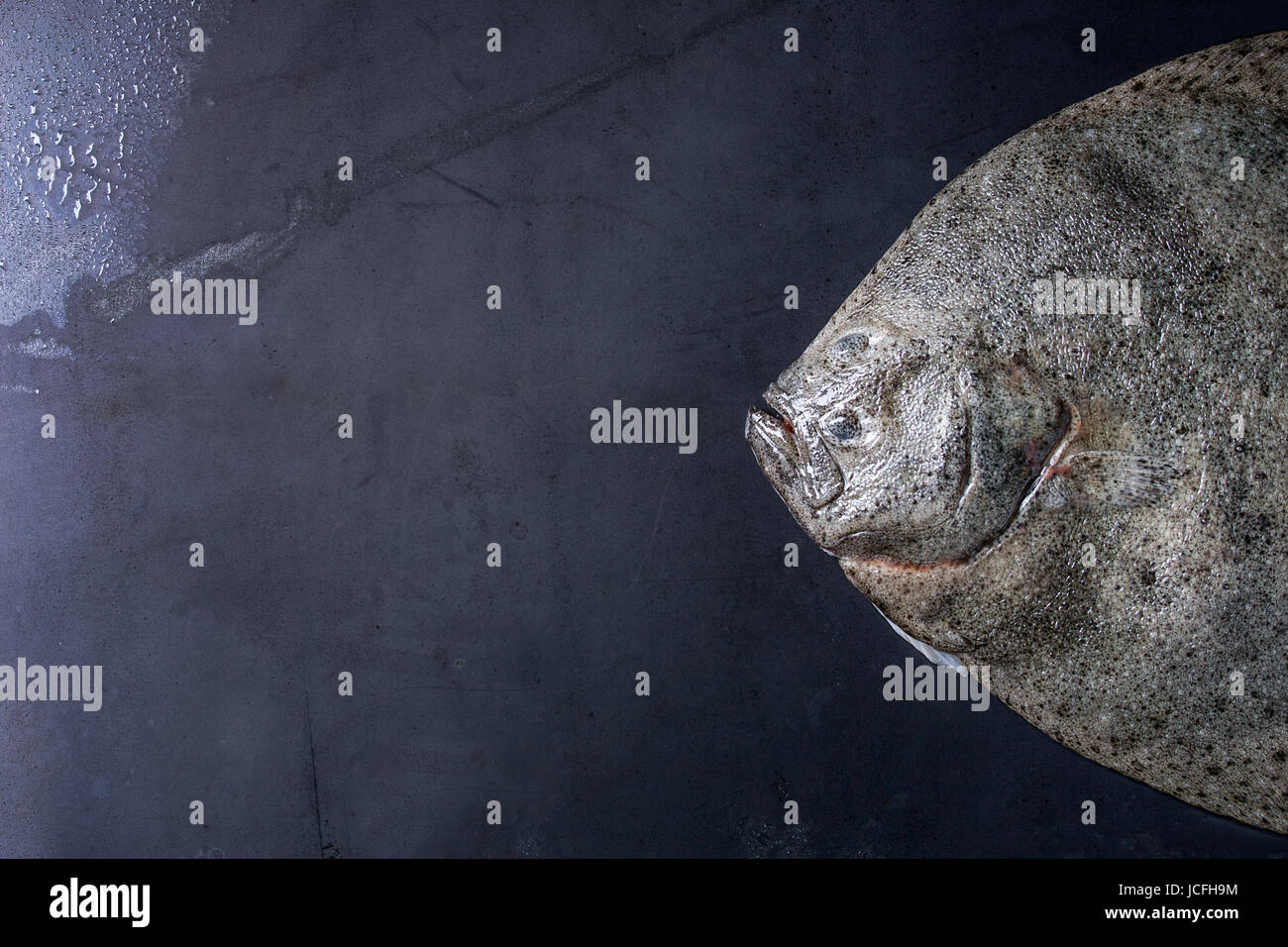 Raw fresh tuna fish Stock Photo - Alamy