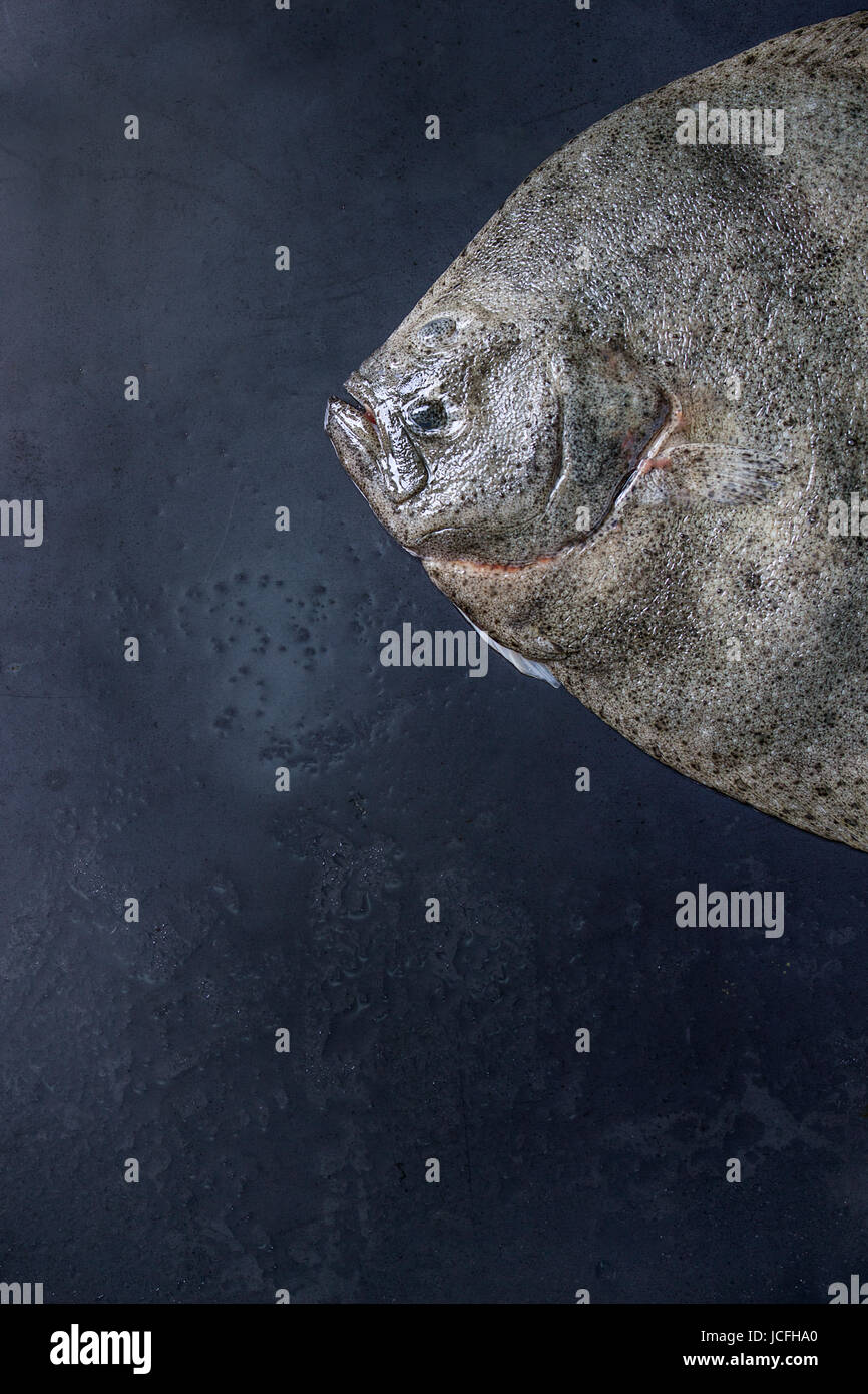 Raw fresh tuna fish Stock Photo - Alamy