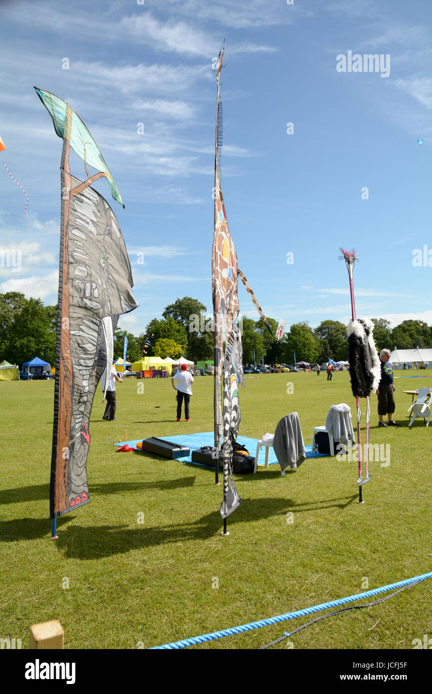 Scenes of kite flying from the annual Kite Festival in Russell Park ...