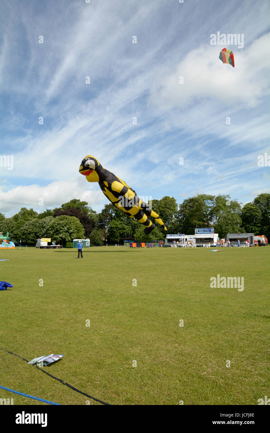 Scenes of kite flying from the annual Kite Festival in Russell Park ...