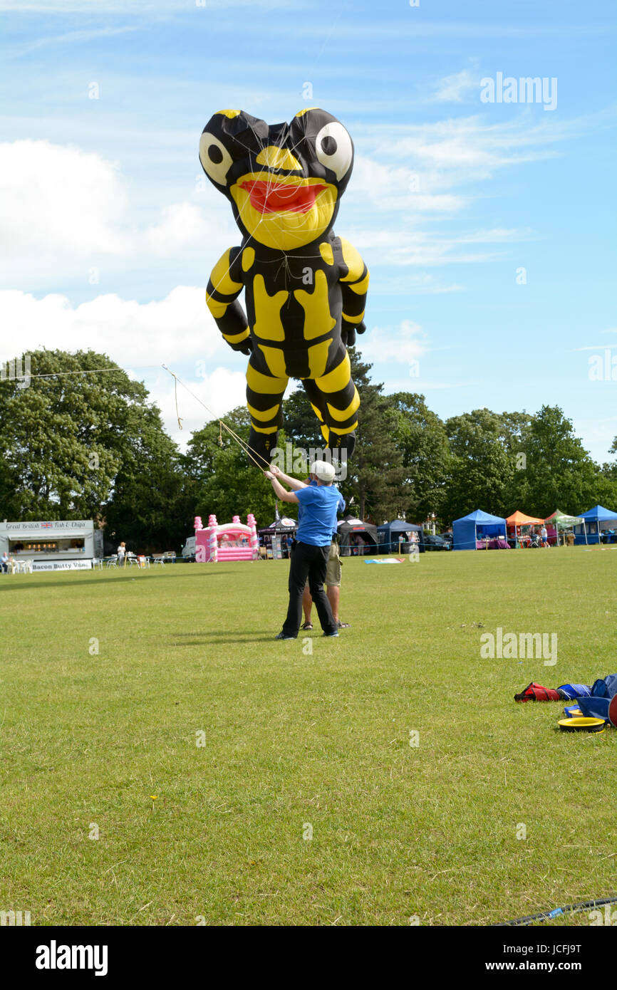 Kite flyers trying to get a large lizard kite into the air on day two ...