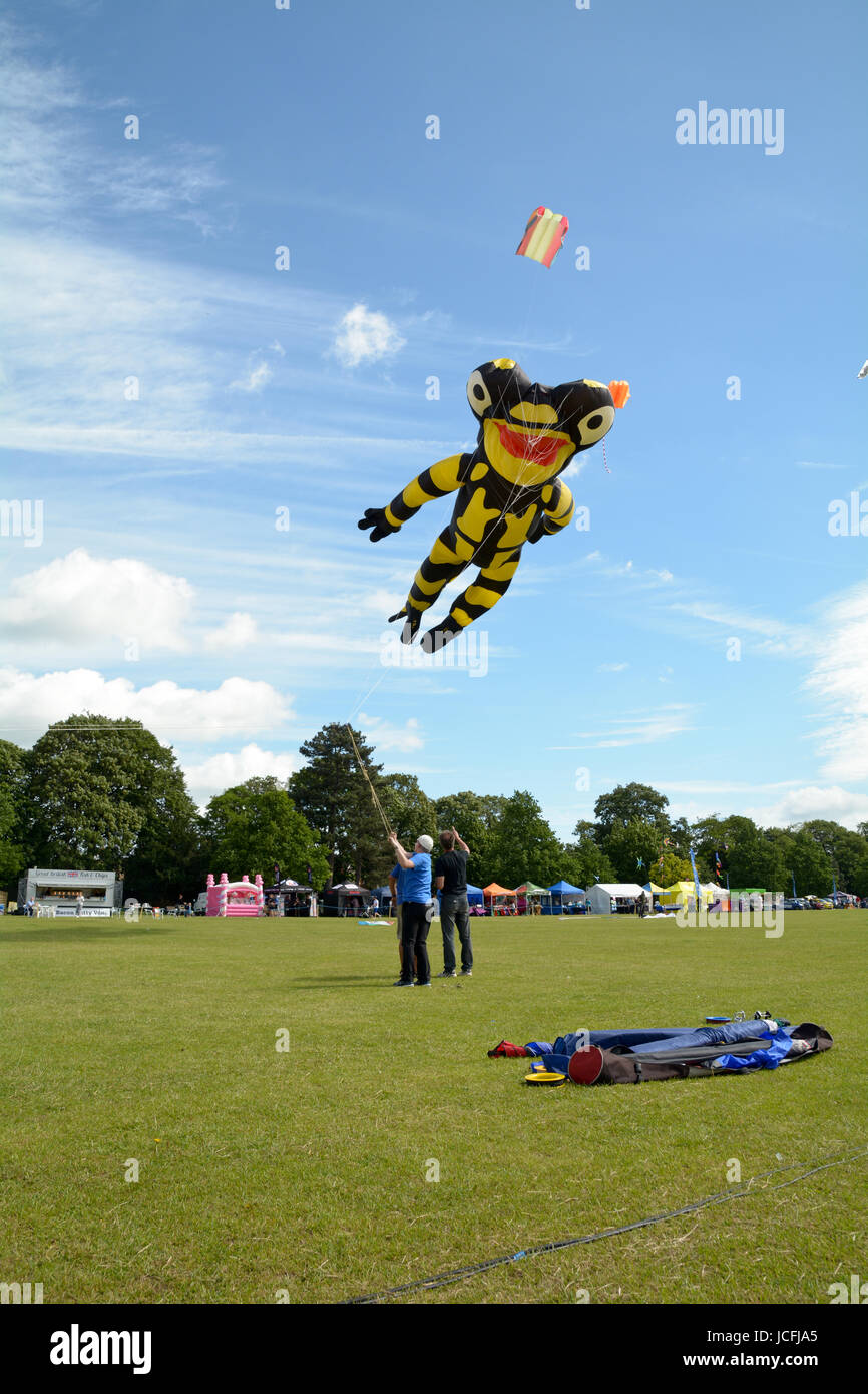 Scenes of kite flying from the annual Kite Festival in Russell Park ...