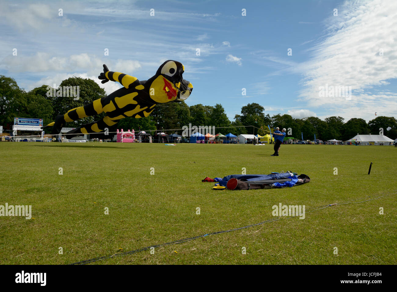 Scenes of kite flying from the annual Kite Festival in Russell Park ...
