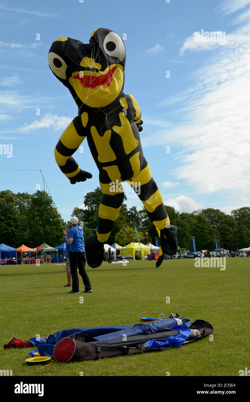 Scenes of kite flying from the annual Kite Festival in Russell Park ...