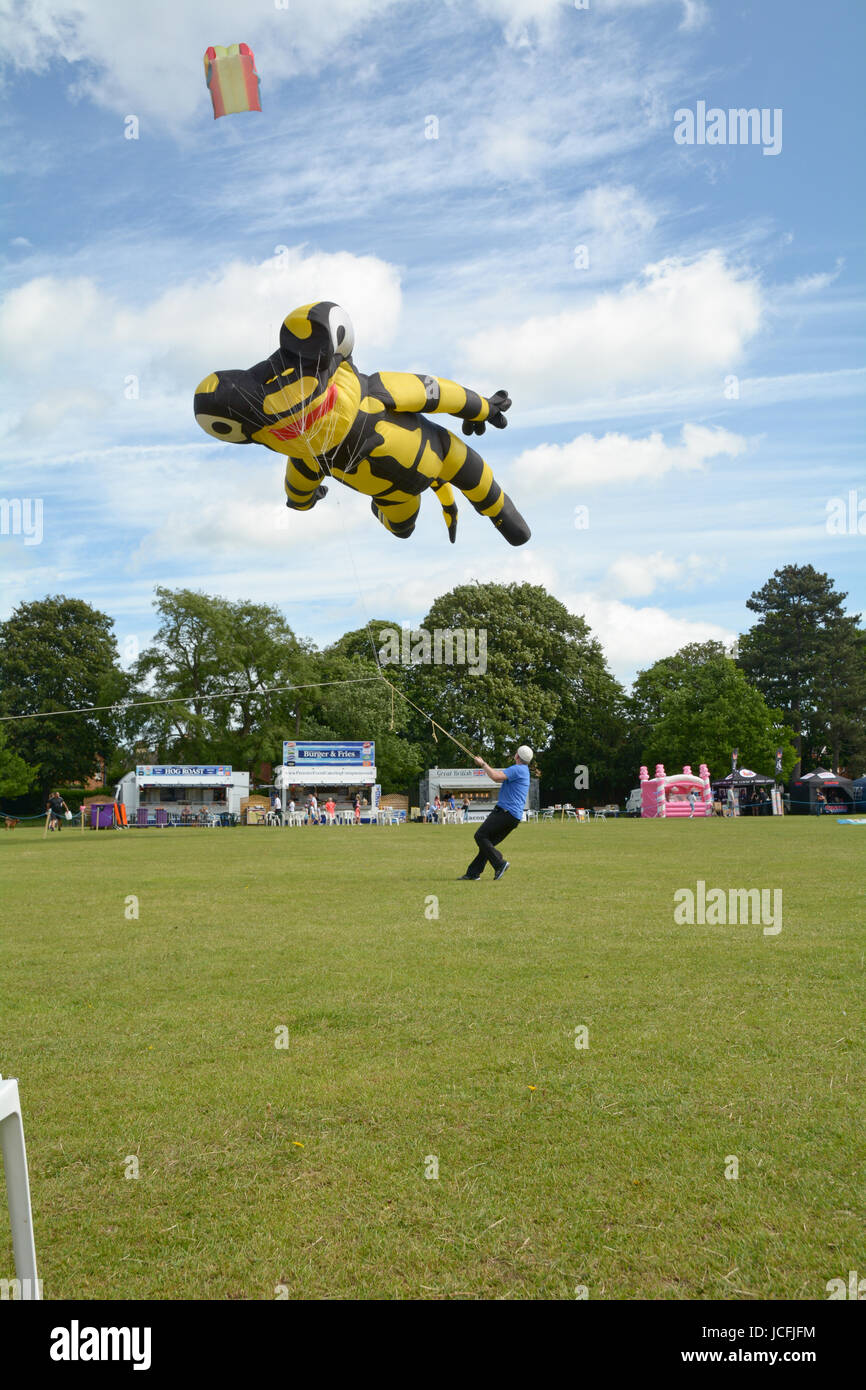 Scenes of kite flying from the annual Kite Festival in Russell Park ...