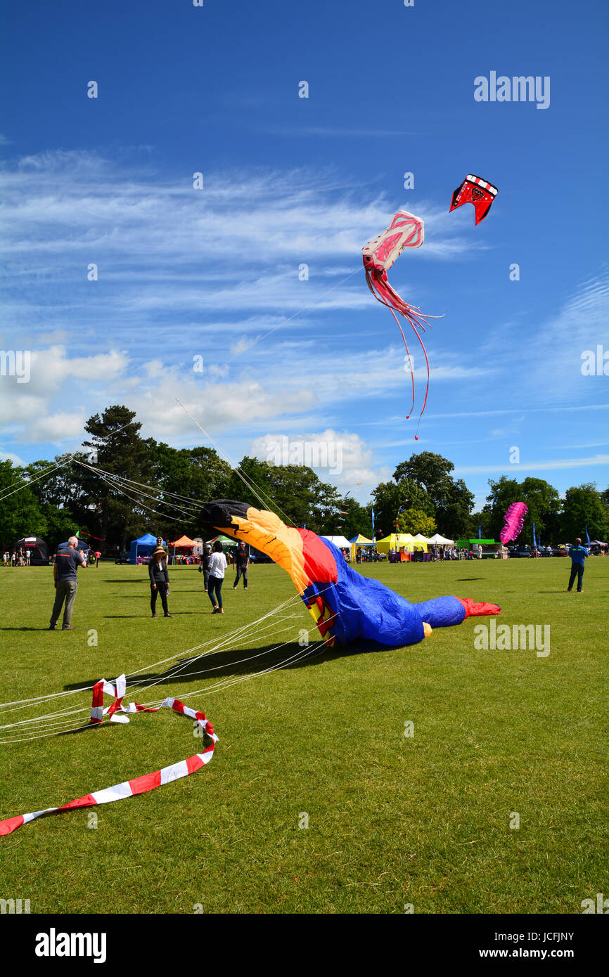Two Children Enjoy Flying Kite High Resolution Stock Photography and ...