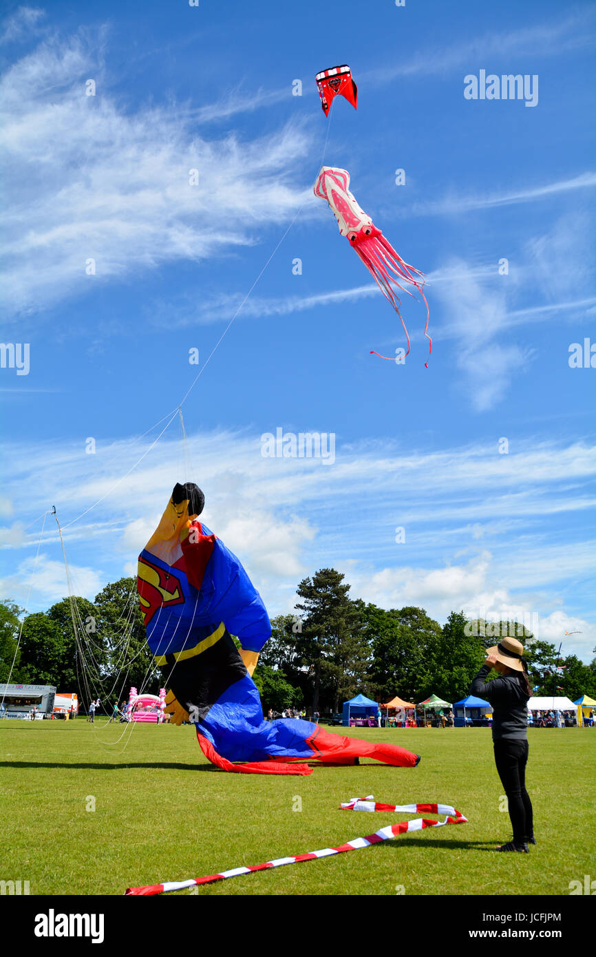 Scenes of kite flying from the annual Kite Festival in Russell Park ...