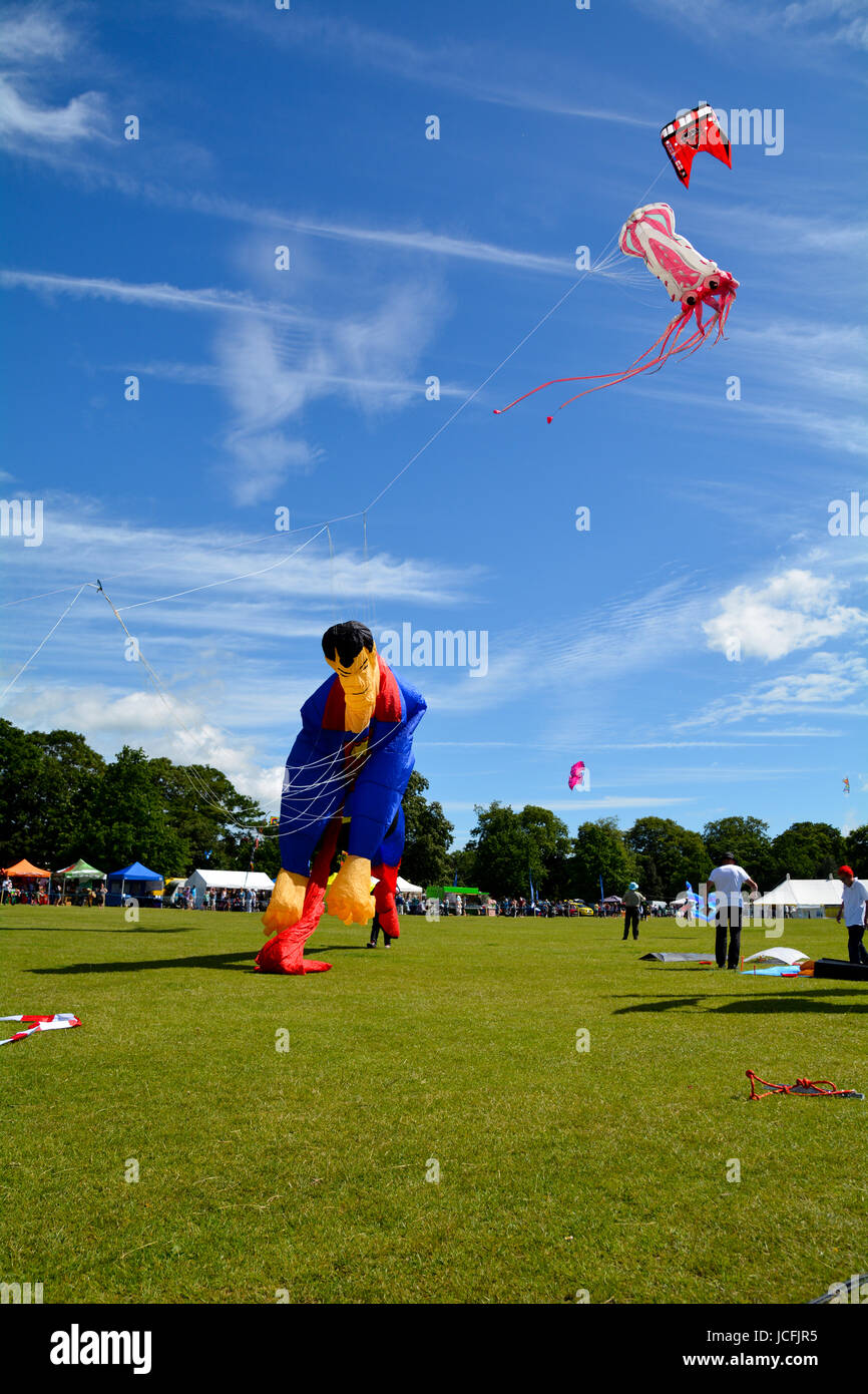 Scenes of kite flying from the annual Kite Festival in Russell Park ...