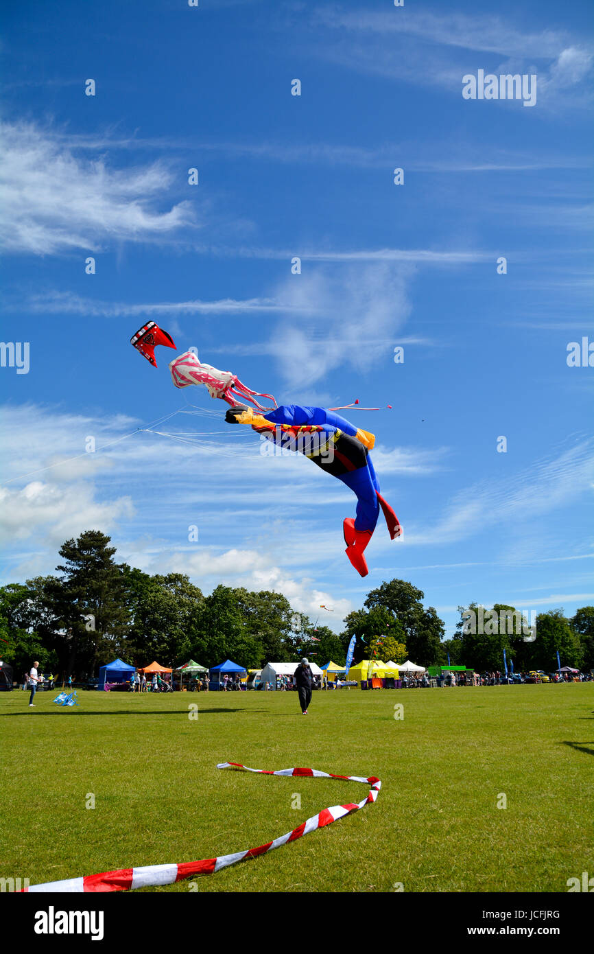 Scenes of kite flying from the annual Kite Festival in Russell Park ...