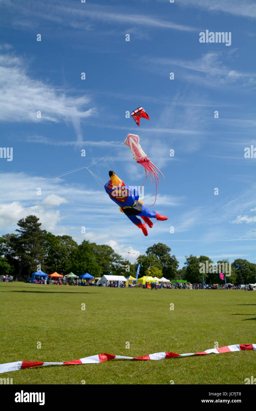 Kite flyers trying to get large Superman kite into the air on day two ...