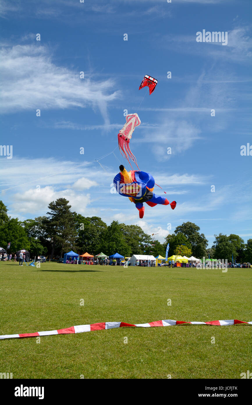 Scenes of kite flying from the annual Kite Festival in Russell Park ...