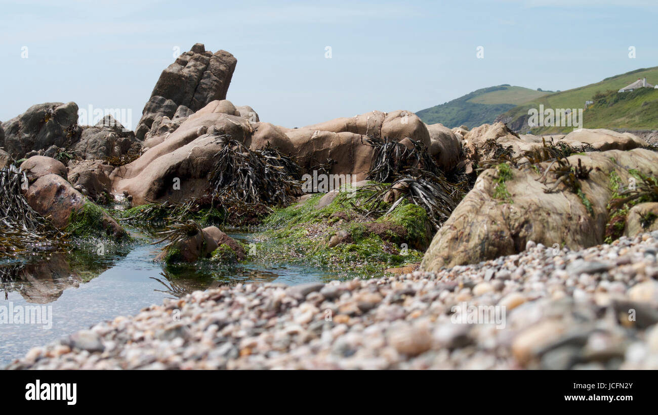 Beach-side rocks, reef and rock pools Stock Photo - Alamy