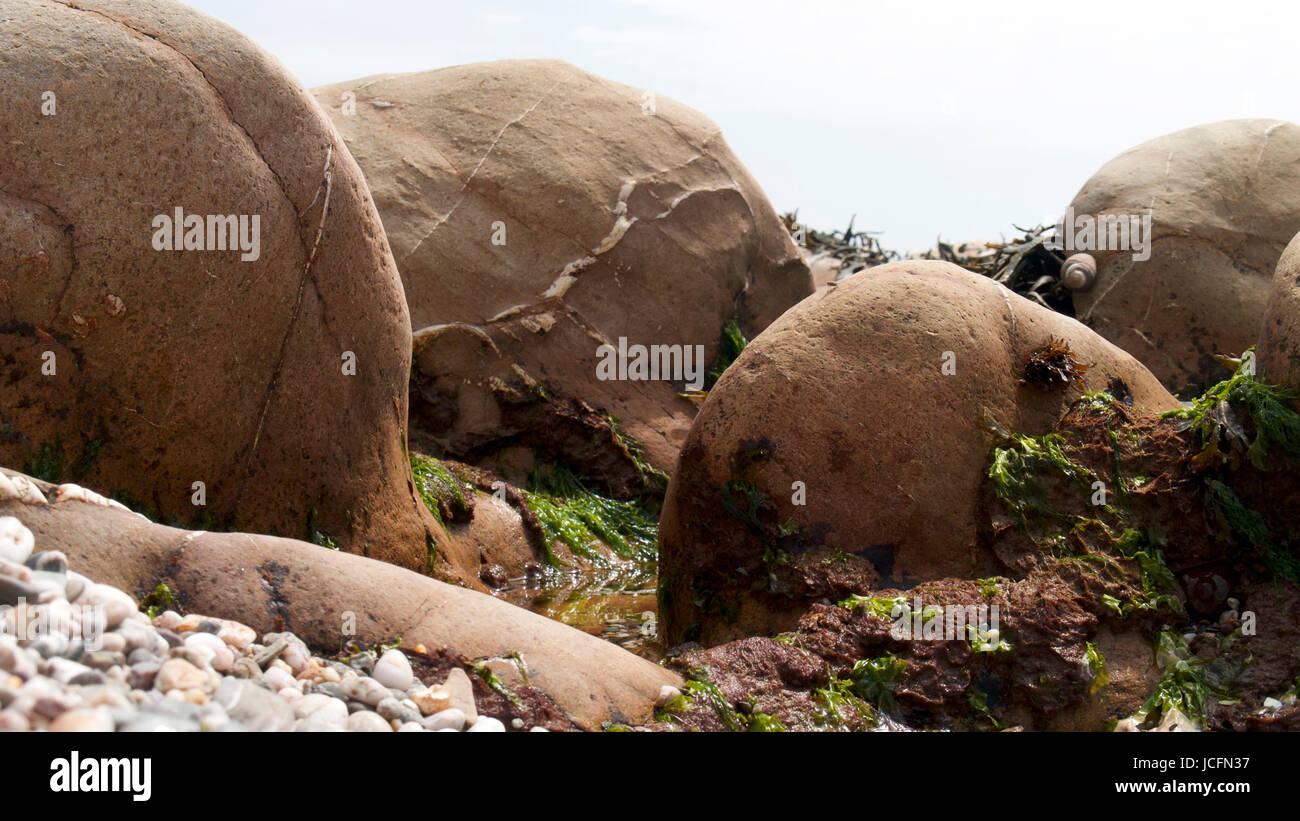 Devonian Sandstone Rocks High Resolution Stock Photography and Images ...