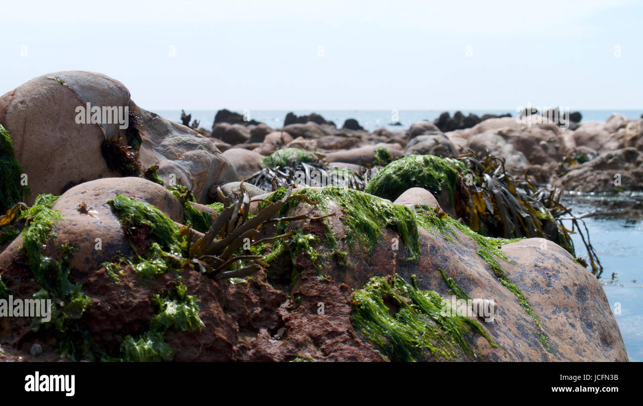 Beach-side rocks, reef and rock pools Stock Photo - Alamy