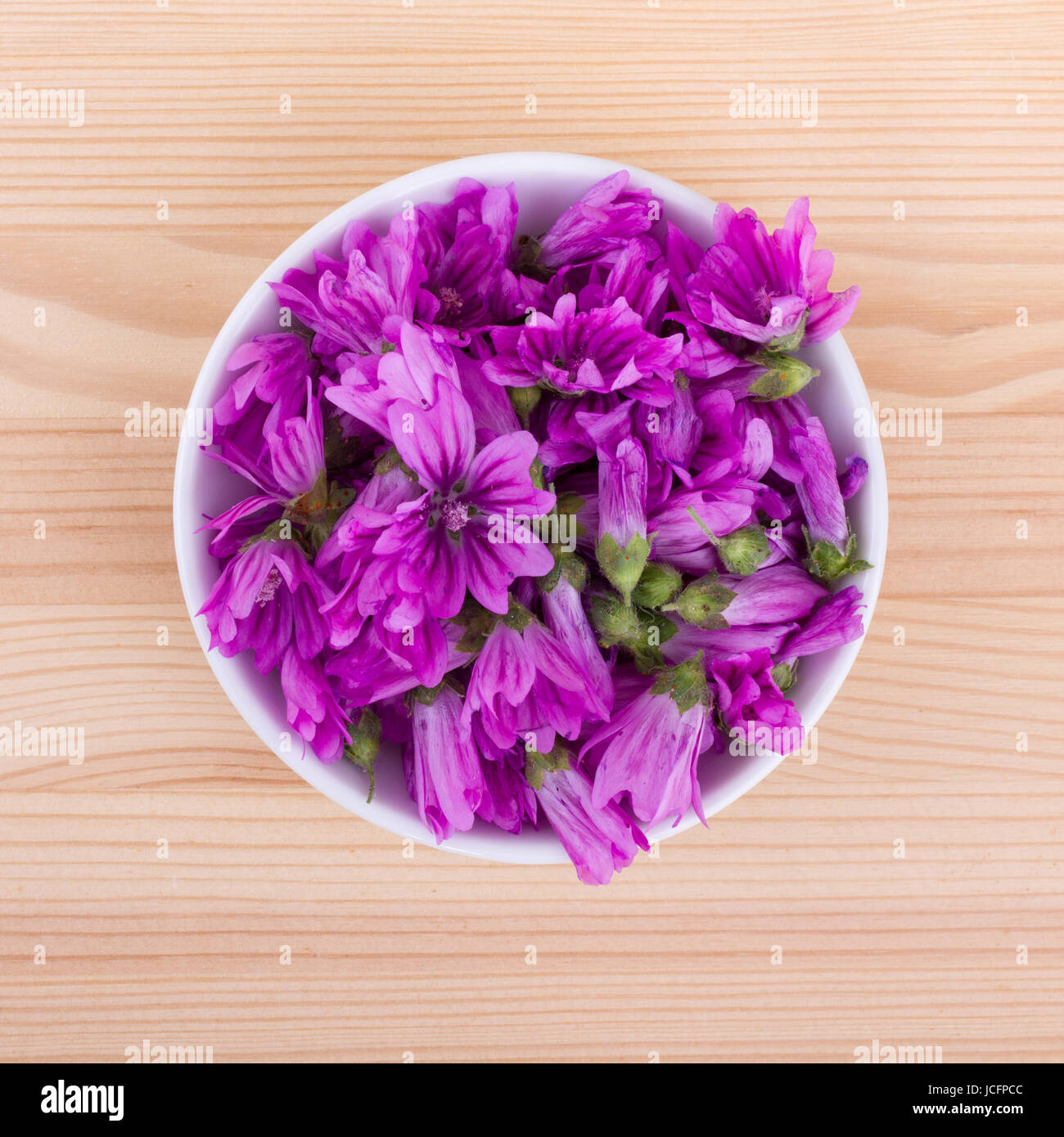pink common mallow flowers Stock Photo - Alamy