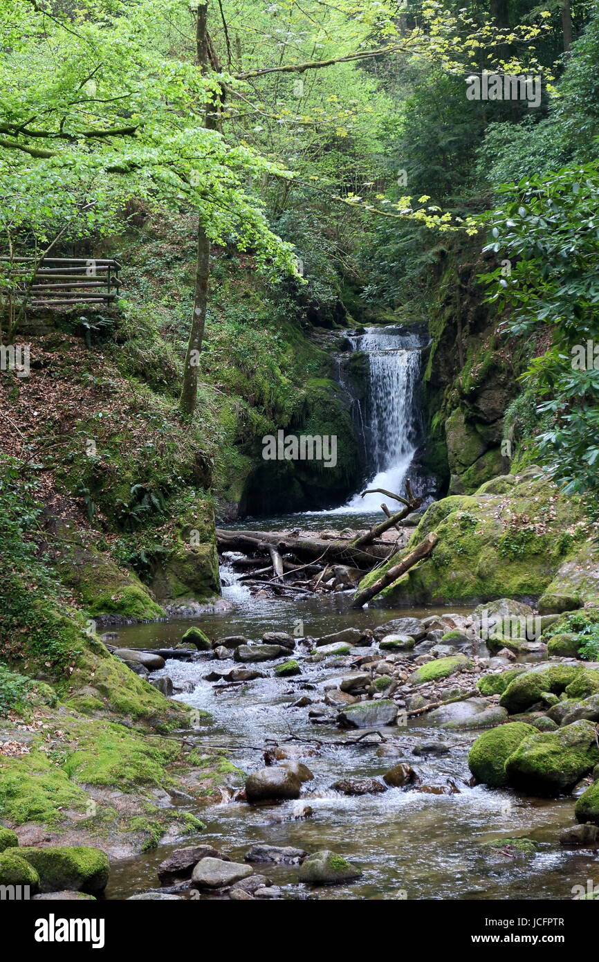 Bach im Wald Stock Photo - Alamy