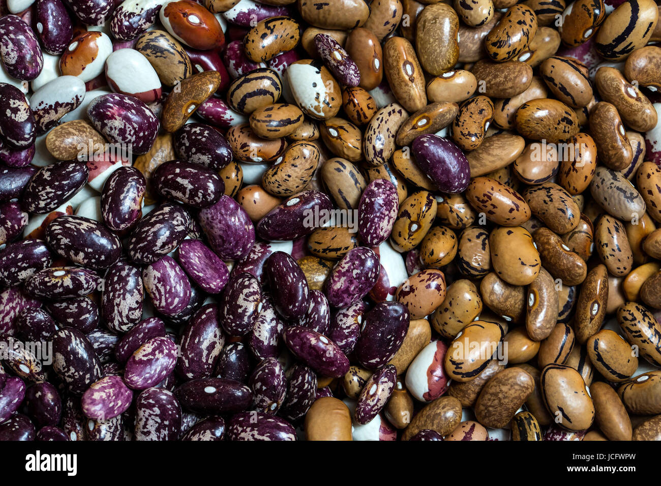 Background of raw beans close up shot Stock Photo - Alamy