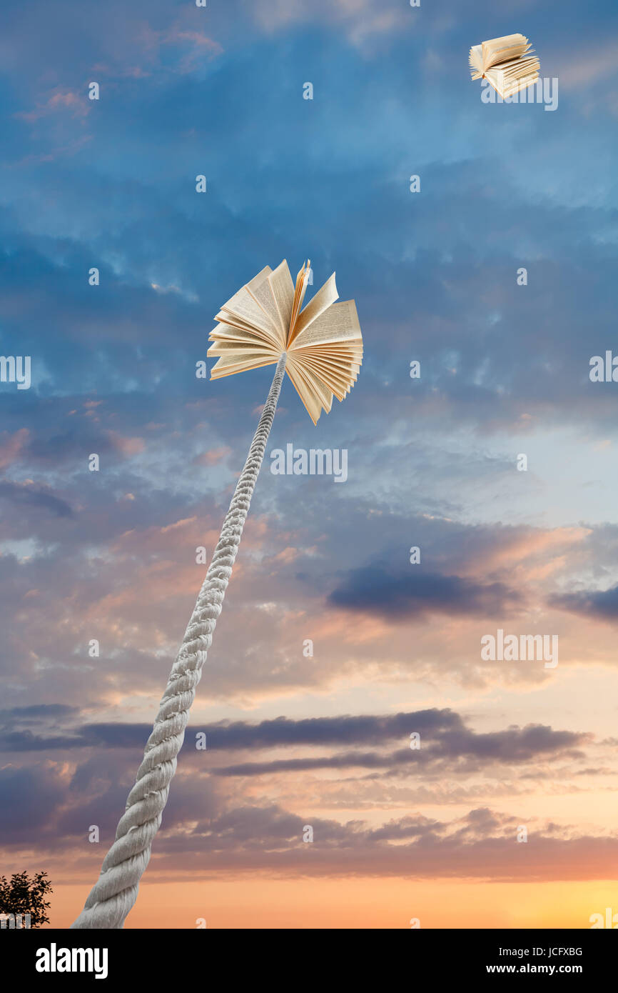 flying book and tied book in sunset sky Stock Photo - Alamy