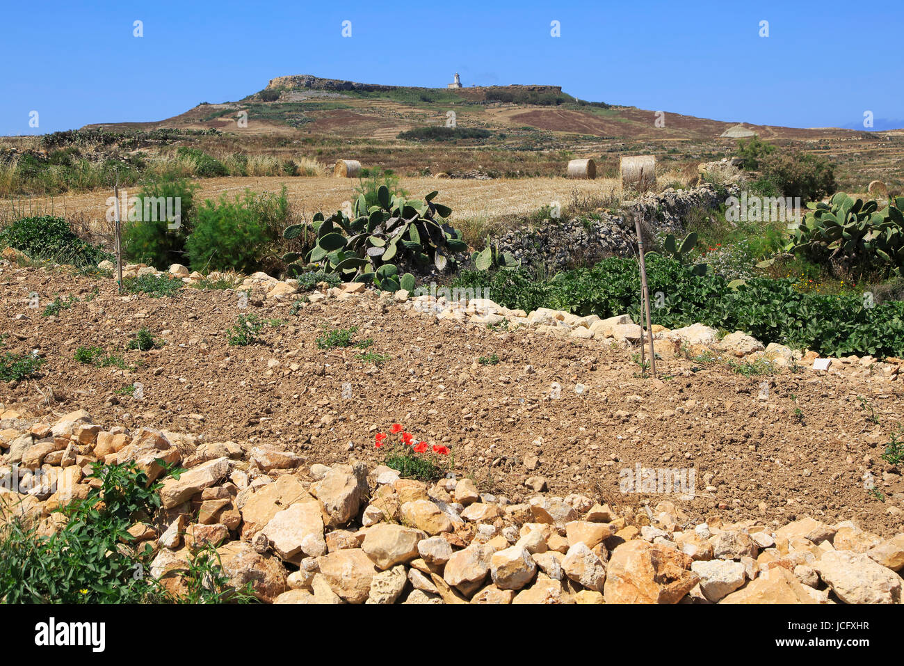 Ta gurdan lighthouse gozo malta hi-res stock photography and images - Alamy