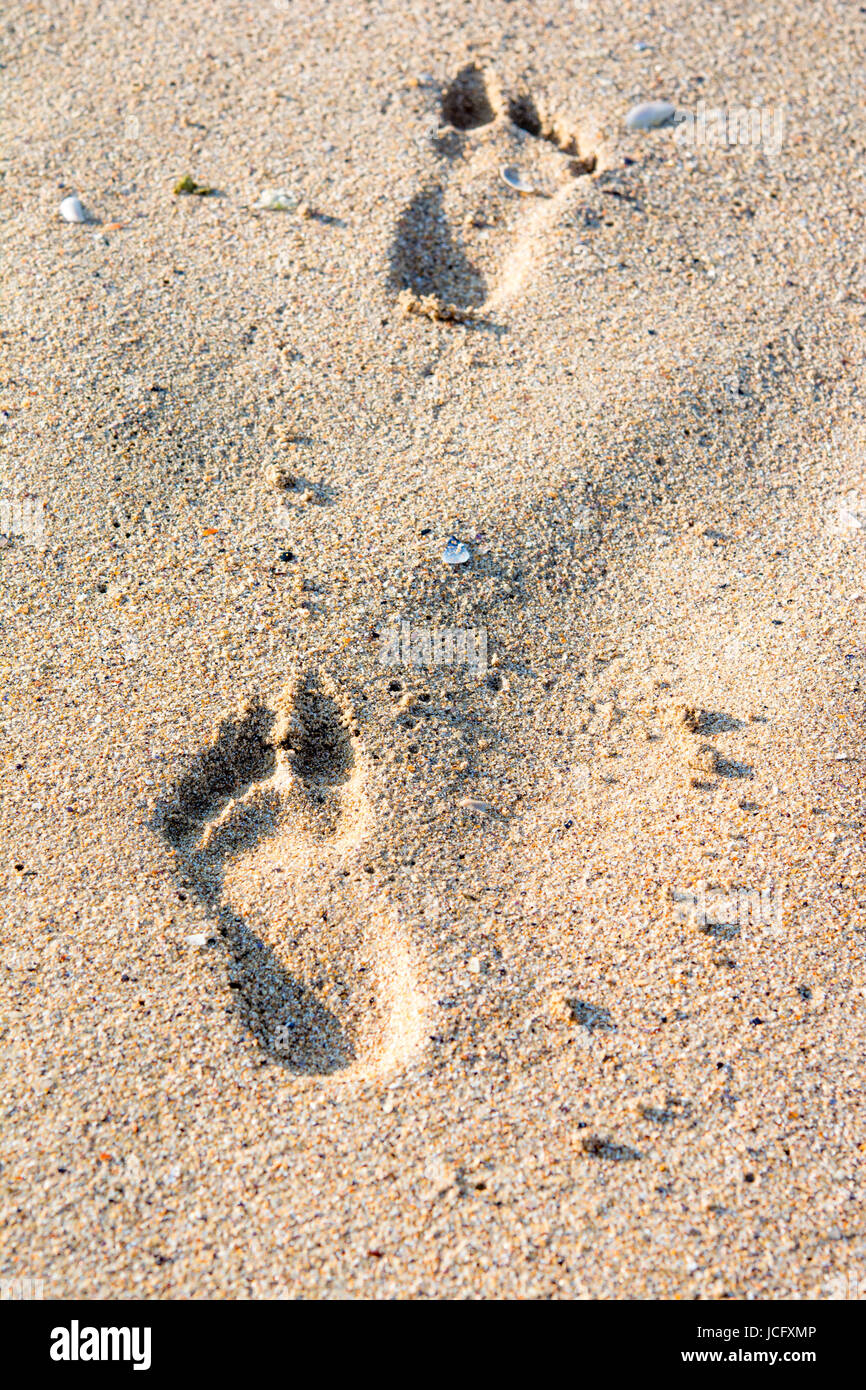A footprint in golden sand on the shore of the sea Stock Photo - Alamy