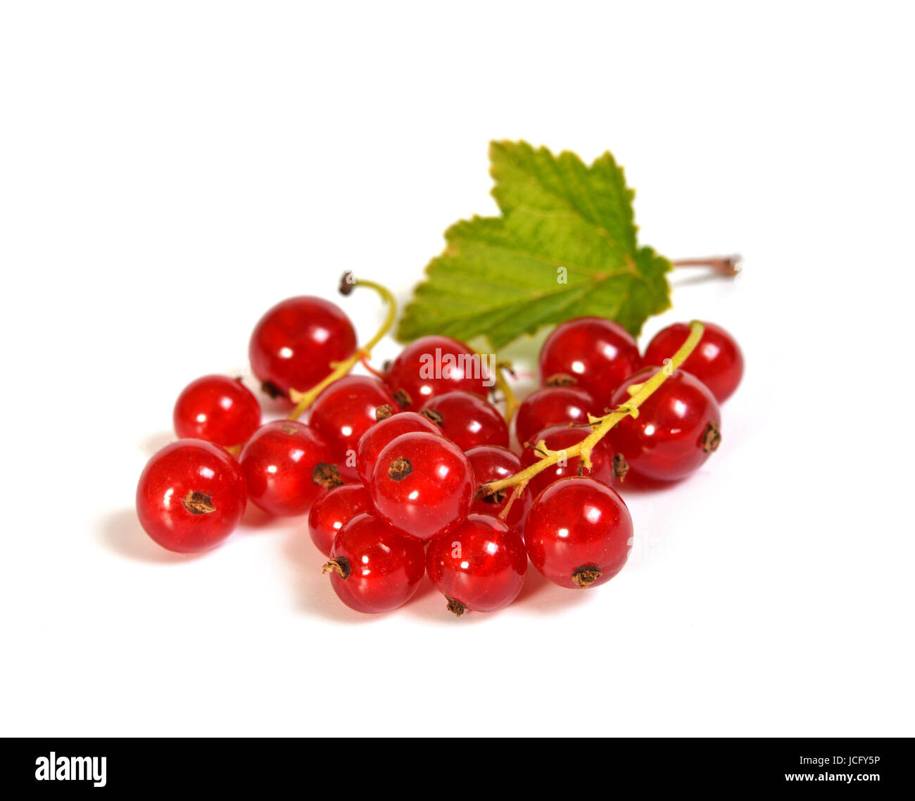 Currant liqueur Cut Out Stock Images & Pictures - Alamy