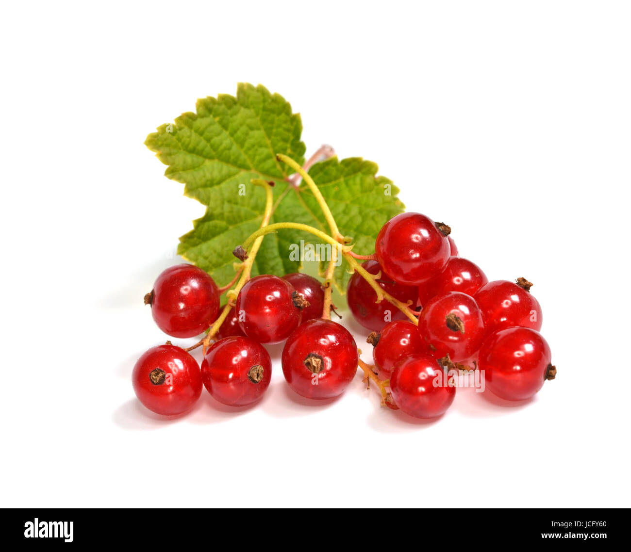 Currant liqueur Cut Out Stock Images & Pictures - Alamy