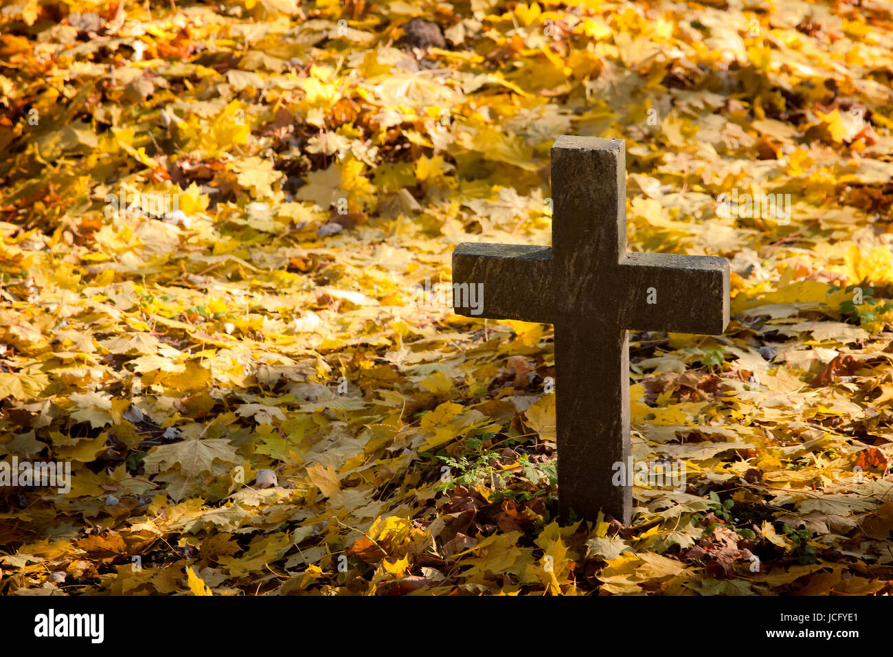 A cross monument in a cemetery with fall leaves in the background Stock ...