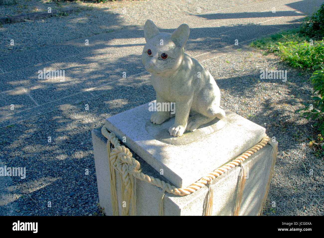 A Guardian Cat Komainu at Azusami-Tenjin-sha Shinto Shrine in Tachikawa ...