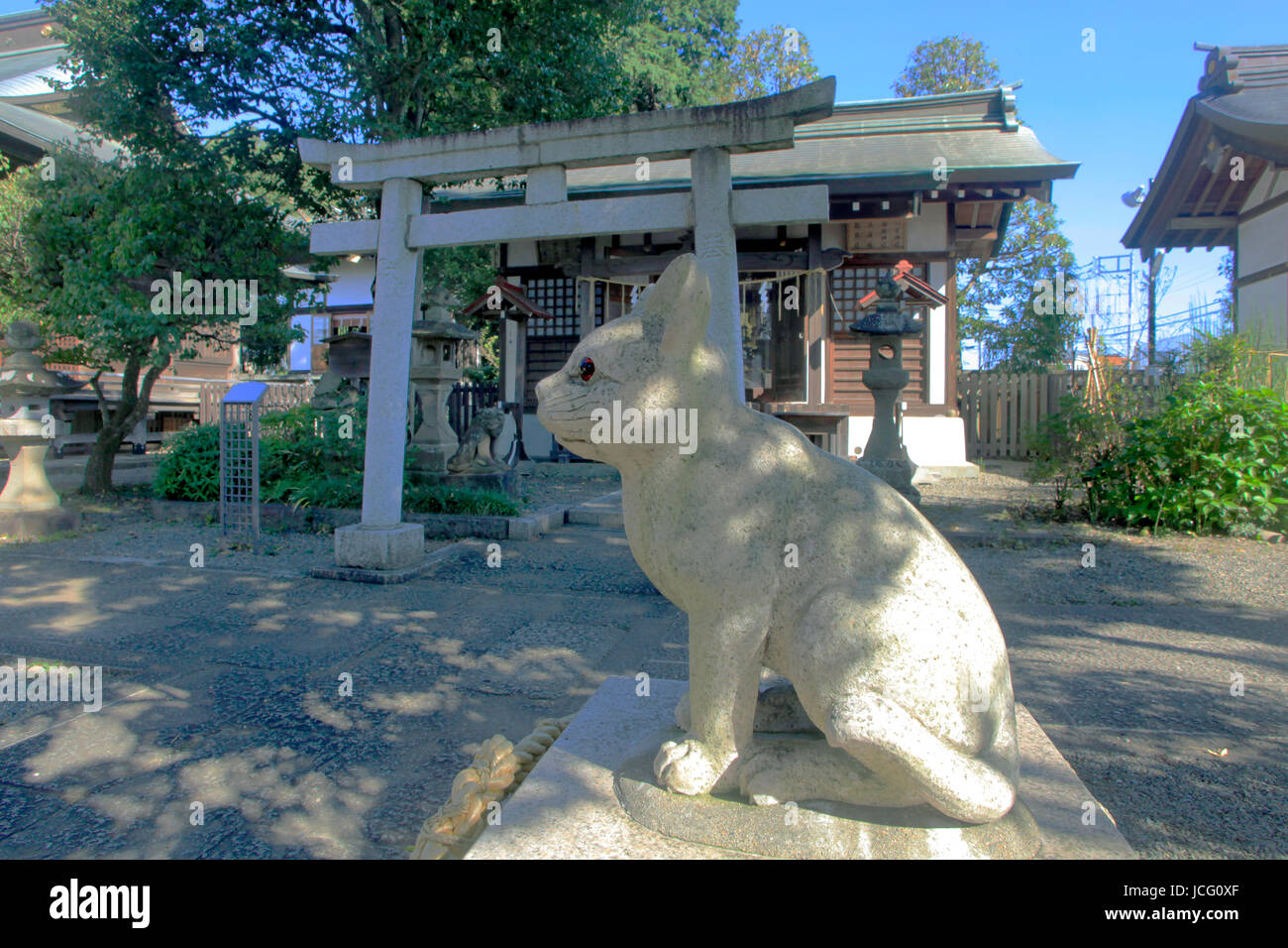 A Guardian Cat Komainu at Azusami-Tenjin-sha Shinto Shrine in Tachikawa ...