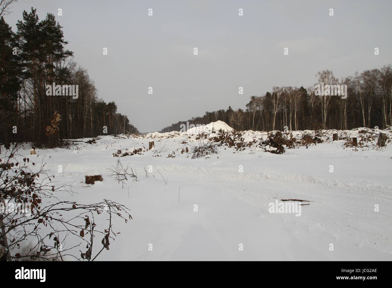 Khimki hi-res stock photography and images - Alamy