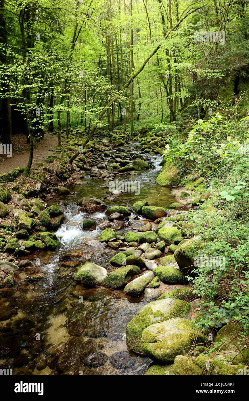Bach im Wald Stock Photo - Alamy