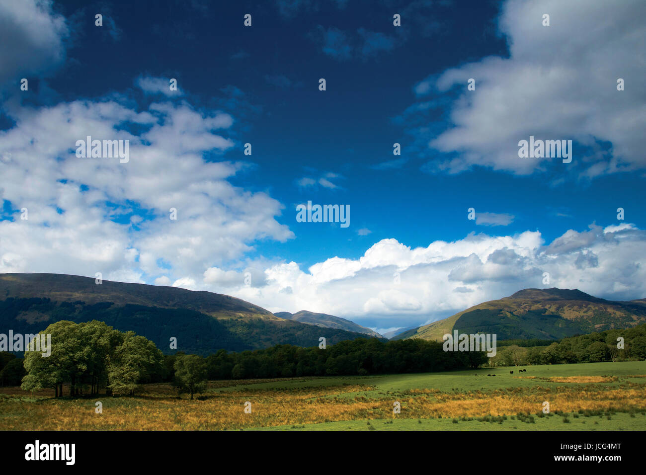 Beinn Breac and the Luss Hills, near Rowardfennan, Loch Lomond and the ...