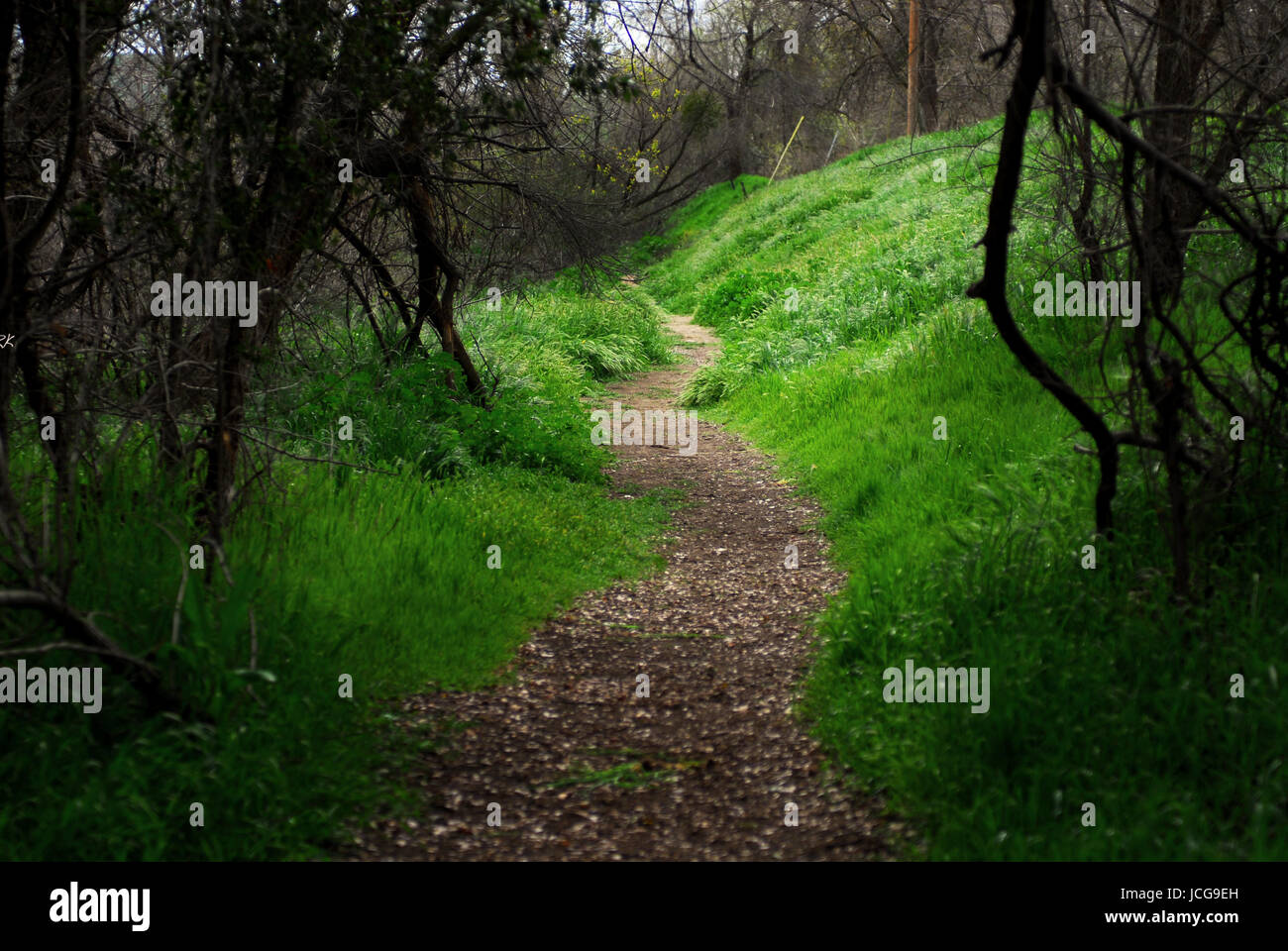 Scary path hi-res stock photography and images - Alamy