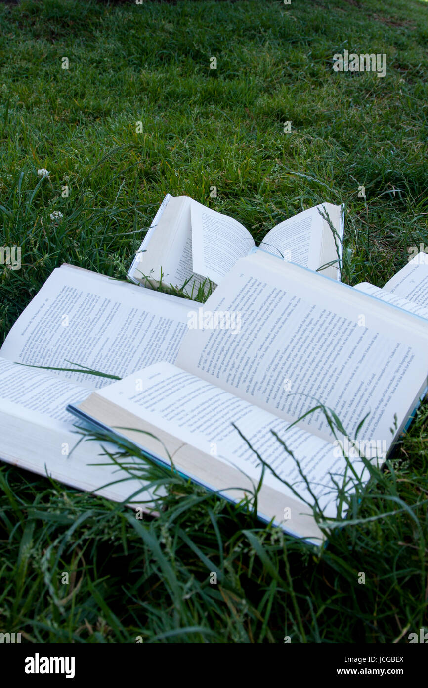 Read in nature hi-res stock photography and images - Alamy