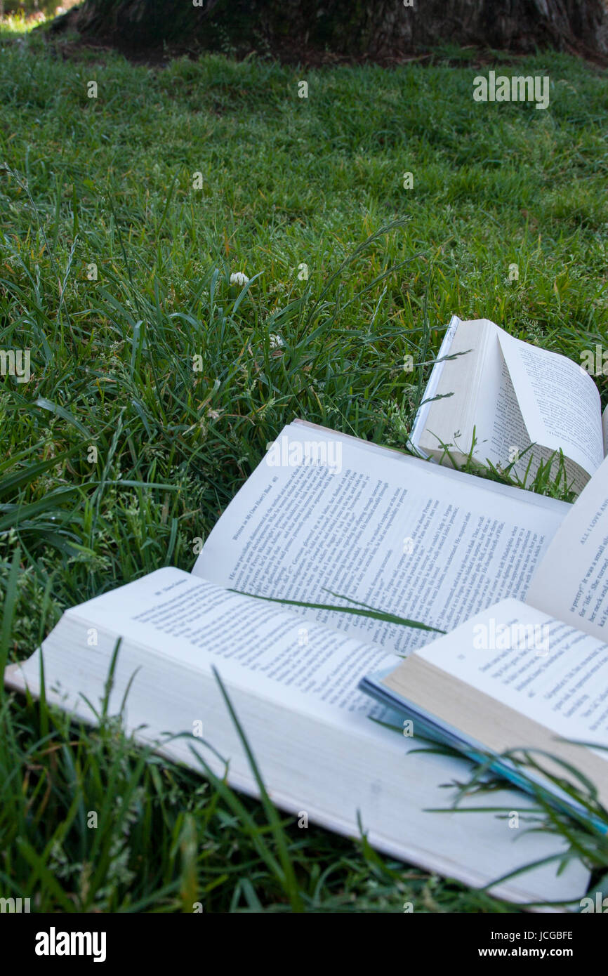 Reading books in park hi-res stock photography and images - Alamy