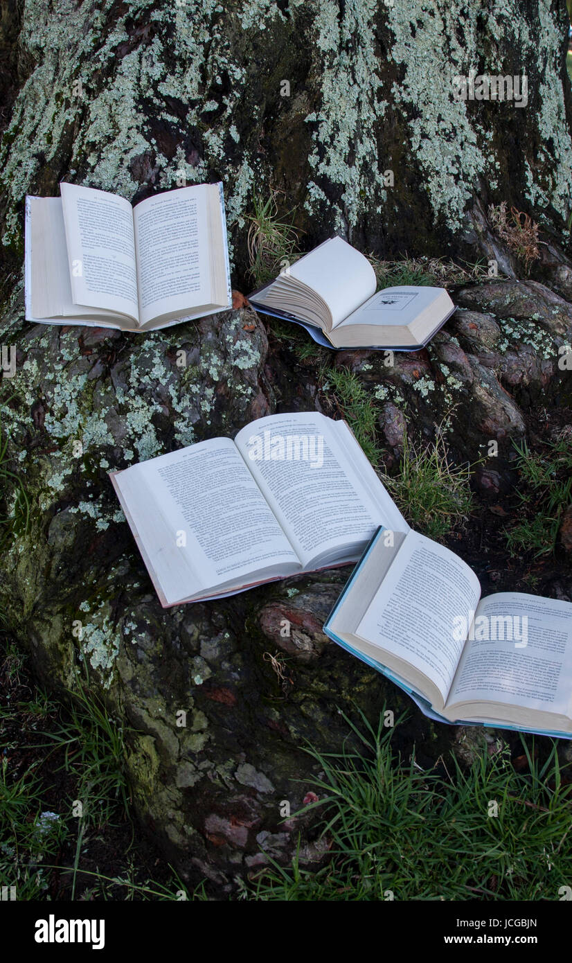 Books in nature Stock Photo - Alamy