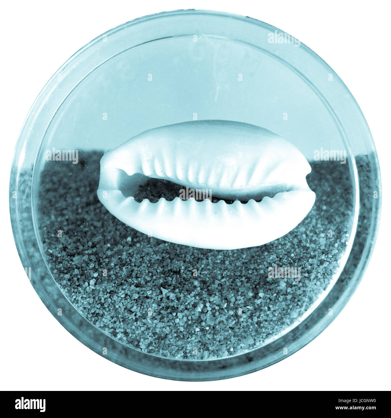 Cyanotype sea hi-res stock photography and images - Alamy