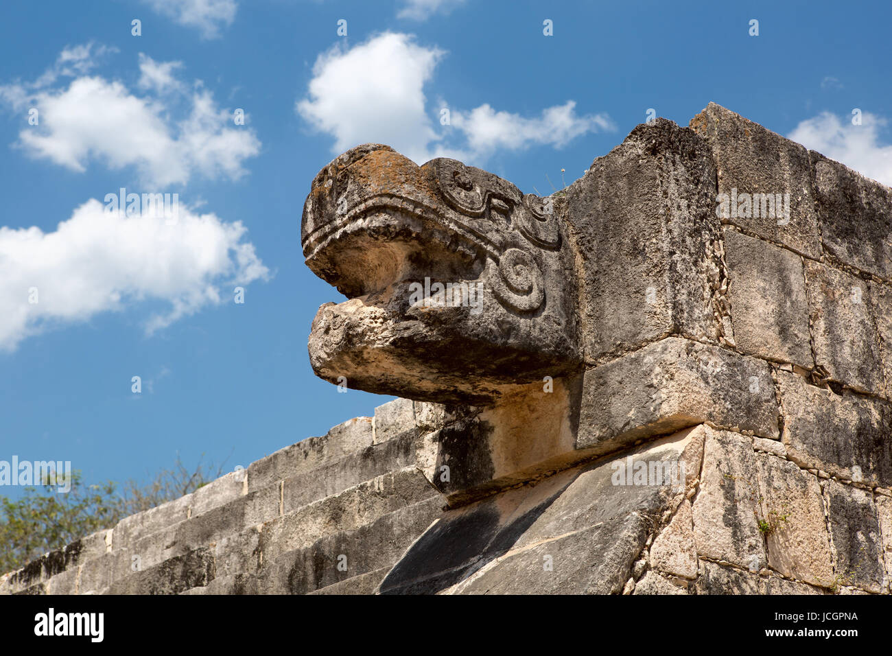 closeup of an ancient Mayan rock sculpture of a dragon head Stock Photo ...