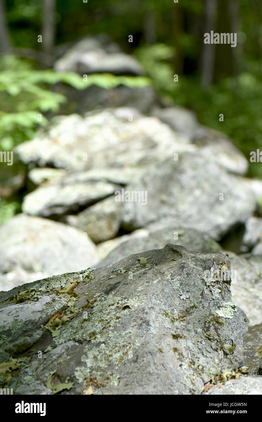 Stone wall new england forest hi-res stock photography and images - Alamy