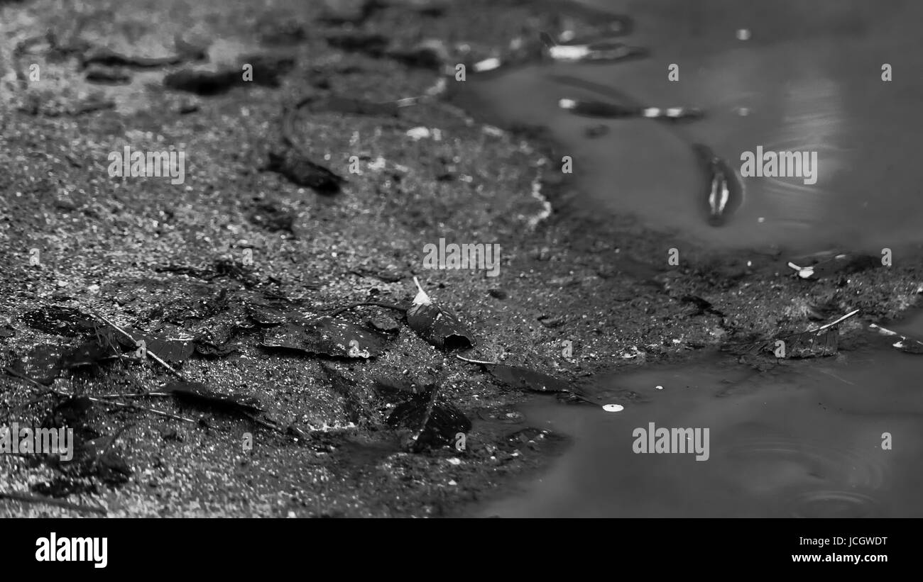 Puddle left after a rainstorm Stock Photo - Alamy