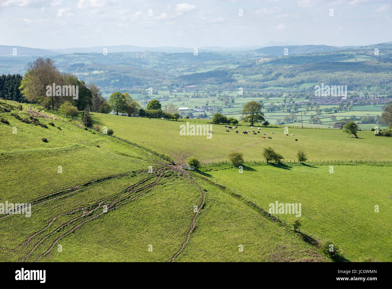 Green fields wales hi-res stock photography and images - Alamy