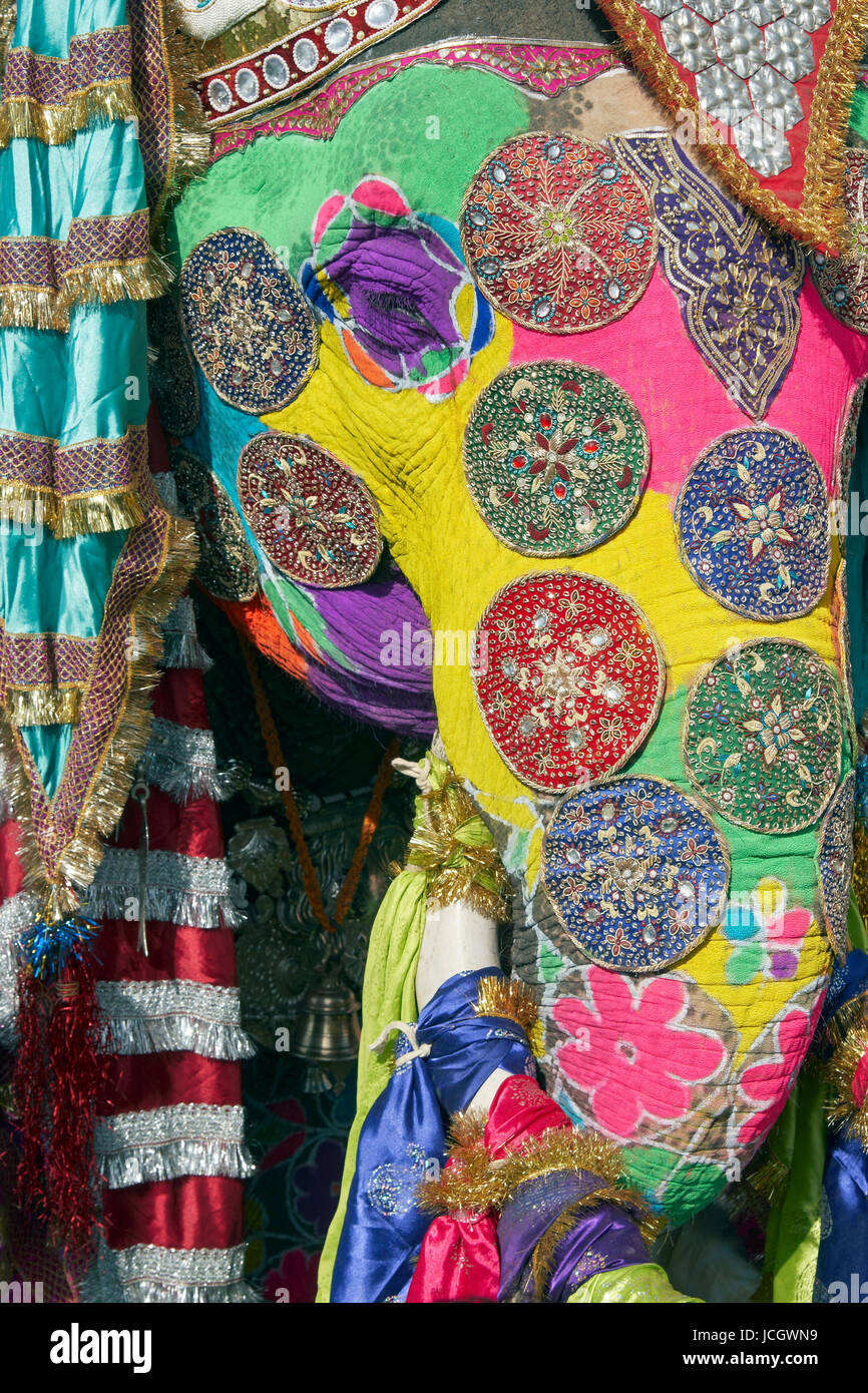Decorated Indian Elephant (Elephas maximus indicus) at the annual ...