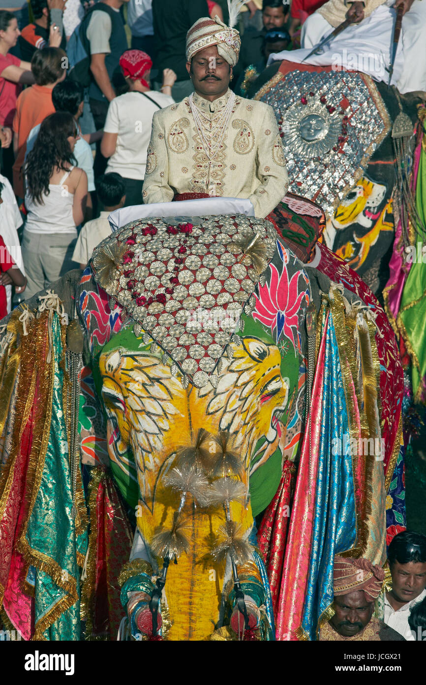 Indian elephant decorated hi-res stock photography and images - Alamy