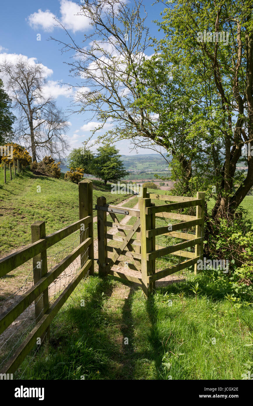 Gate into countryside at Coed Ceunant, a woodland trust area below Moel ...