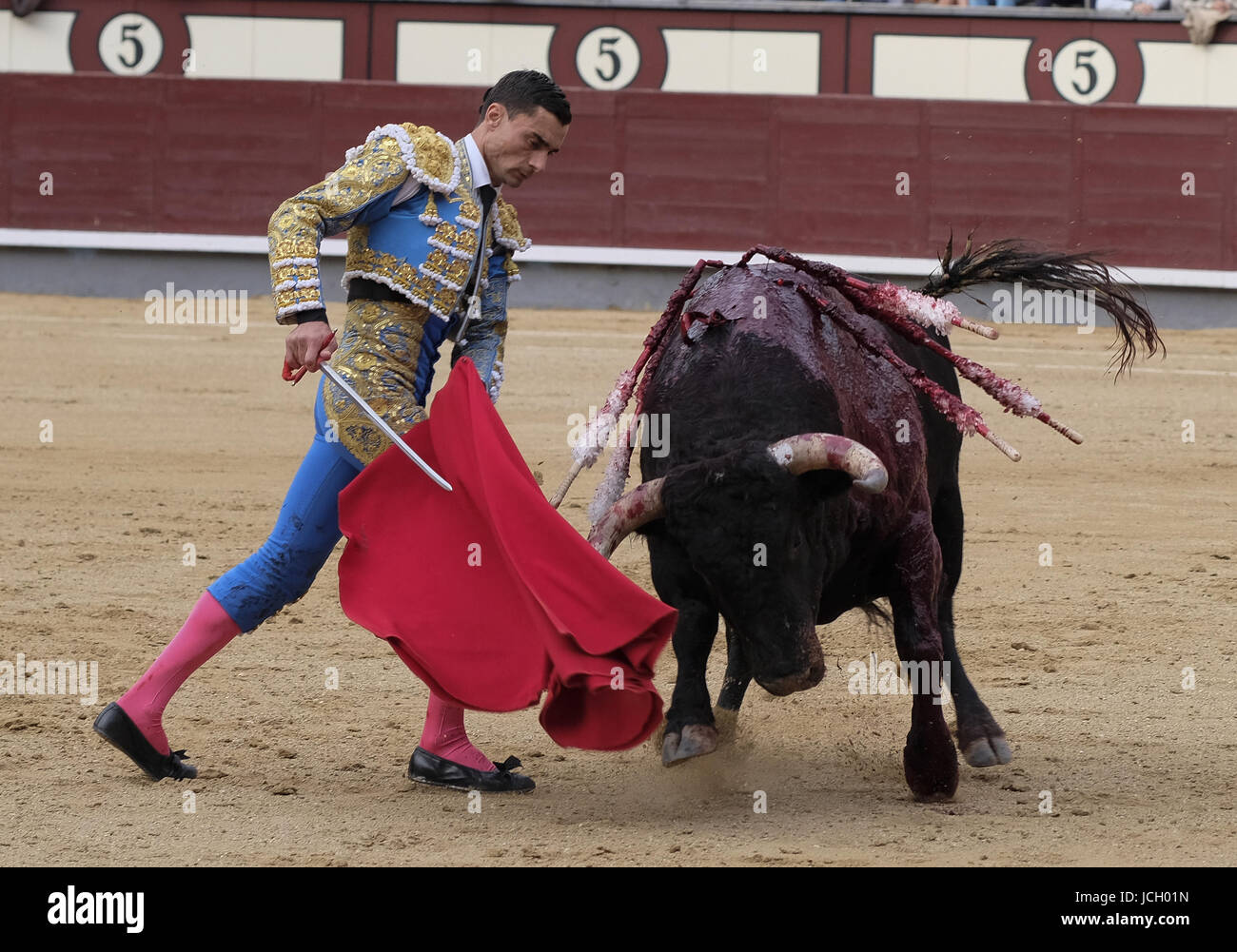 San Isidro Bullfighting Fair in Las Ventas bullring in Madrid Featuring ...