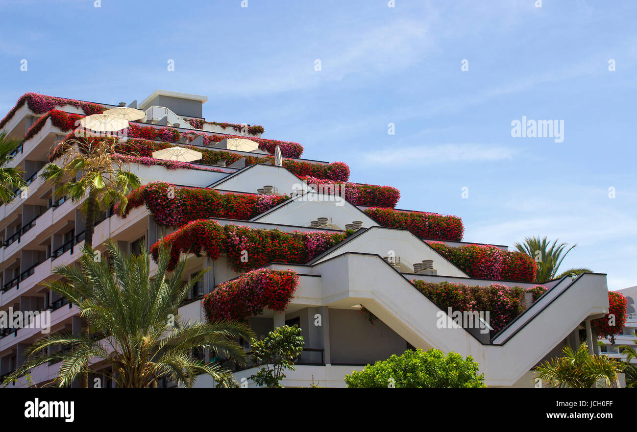 Sub tropical flowers hi-res stock photography and images - Alamy