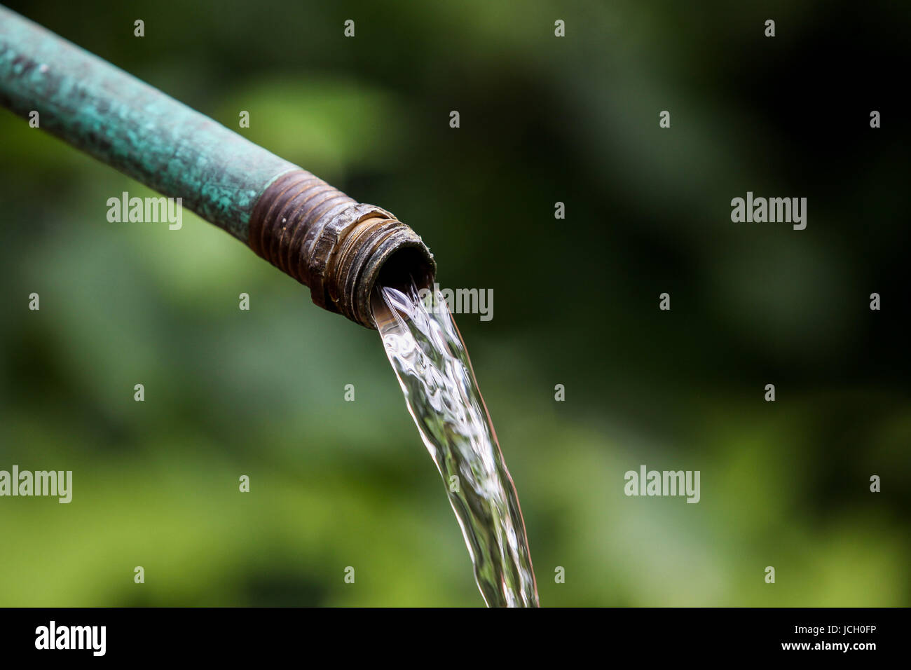 Hose transparent hi-res stock photography and images - Alamy