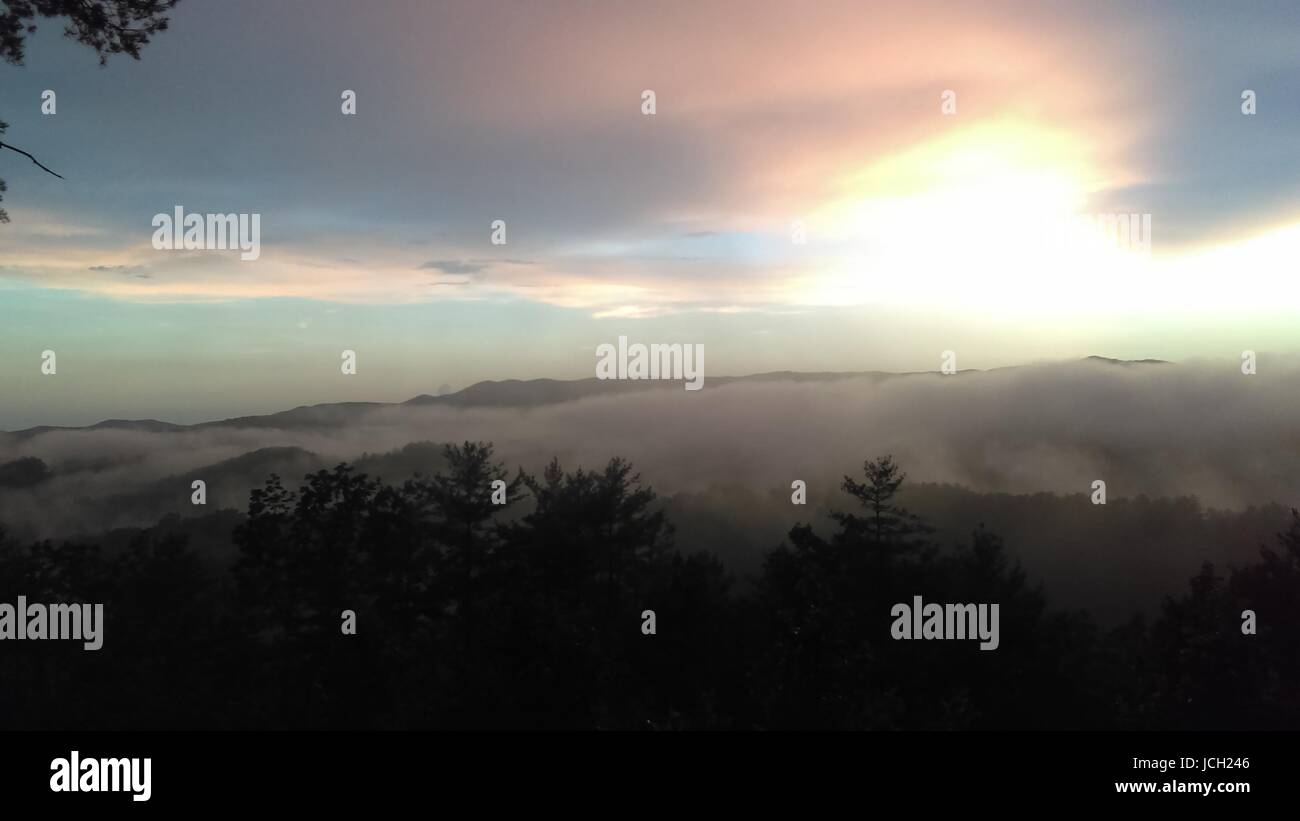 Road in the Smoky Mountains mid June Stock Photo - Alamy