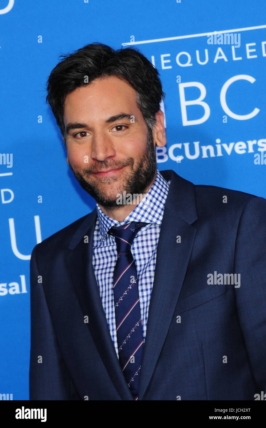 Josh Radnor 2017 How I Met Your Mother' Star Josh Radnor Gets Married