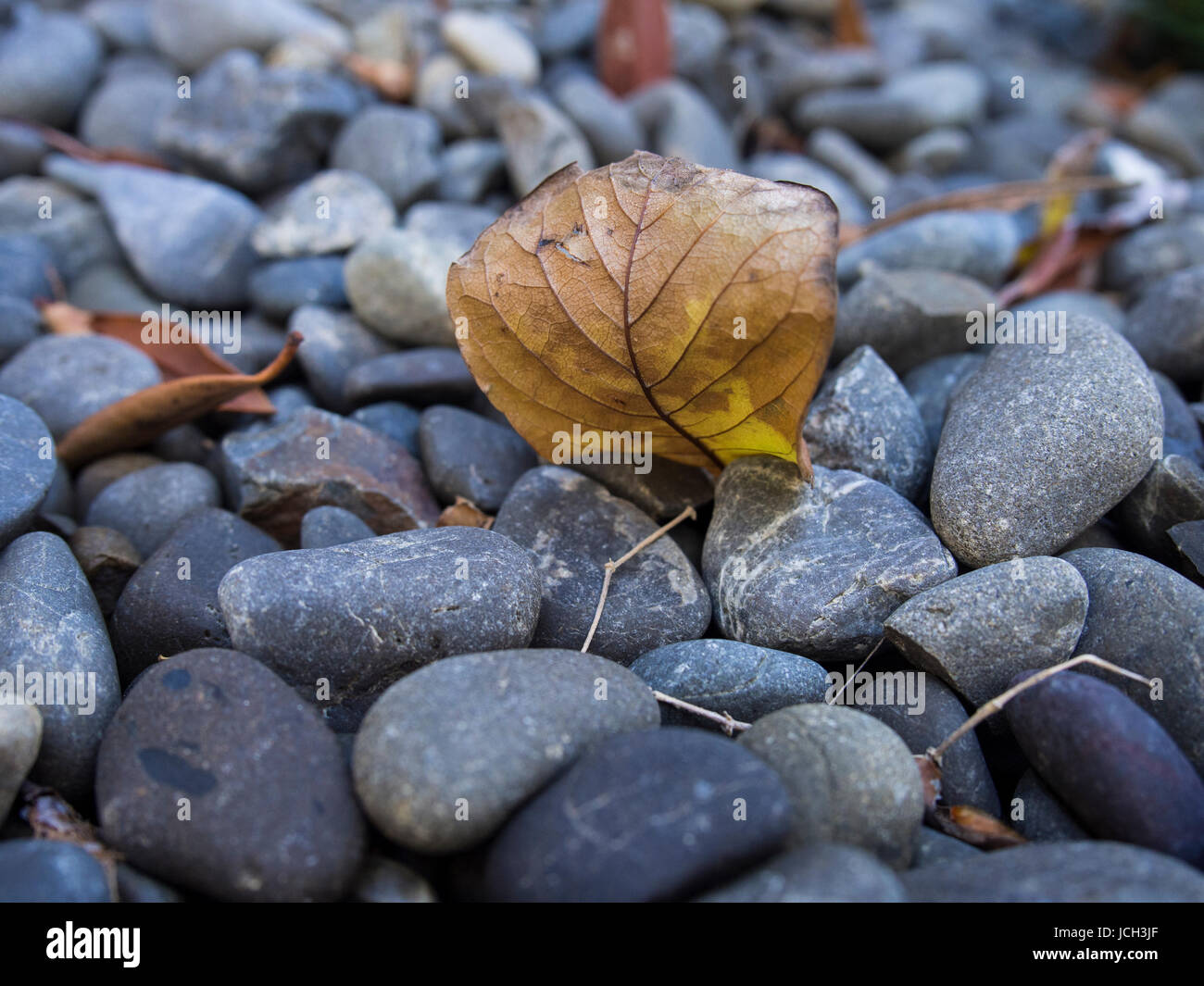 Single rocks hi-res stock photography and images - Alamy